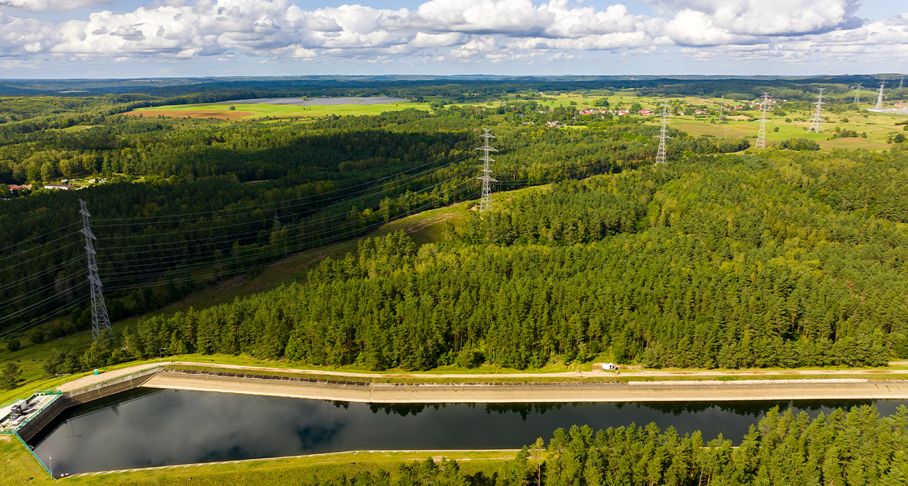 Implementation of the business strategy for 2020-2030 - PSE Raport